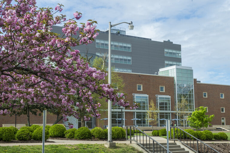 Friends of Morris Library seeking support | SIU Foundation Blog