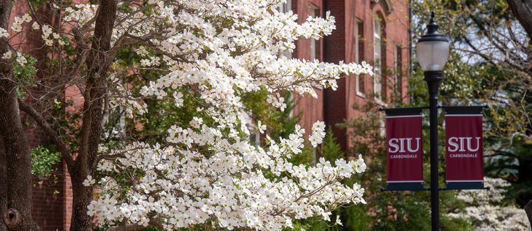 SIU Foundation Blog | Sharing stories of philanthropy